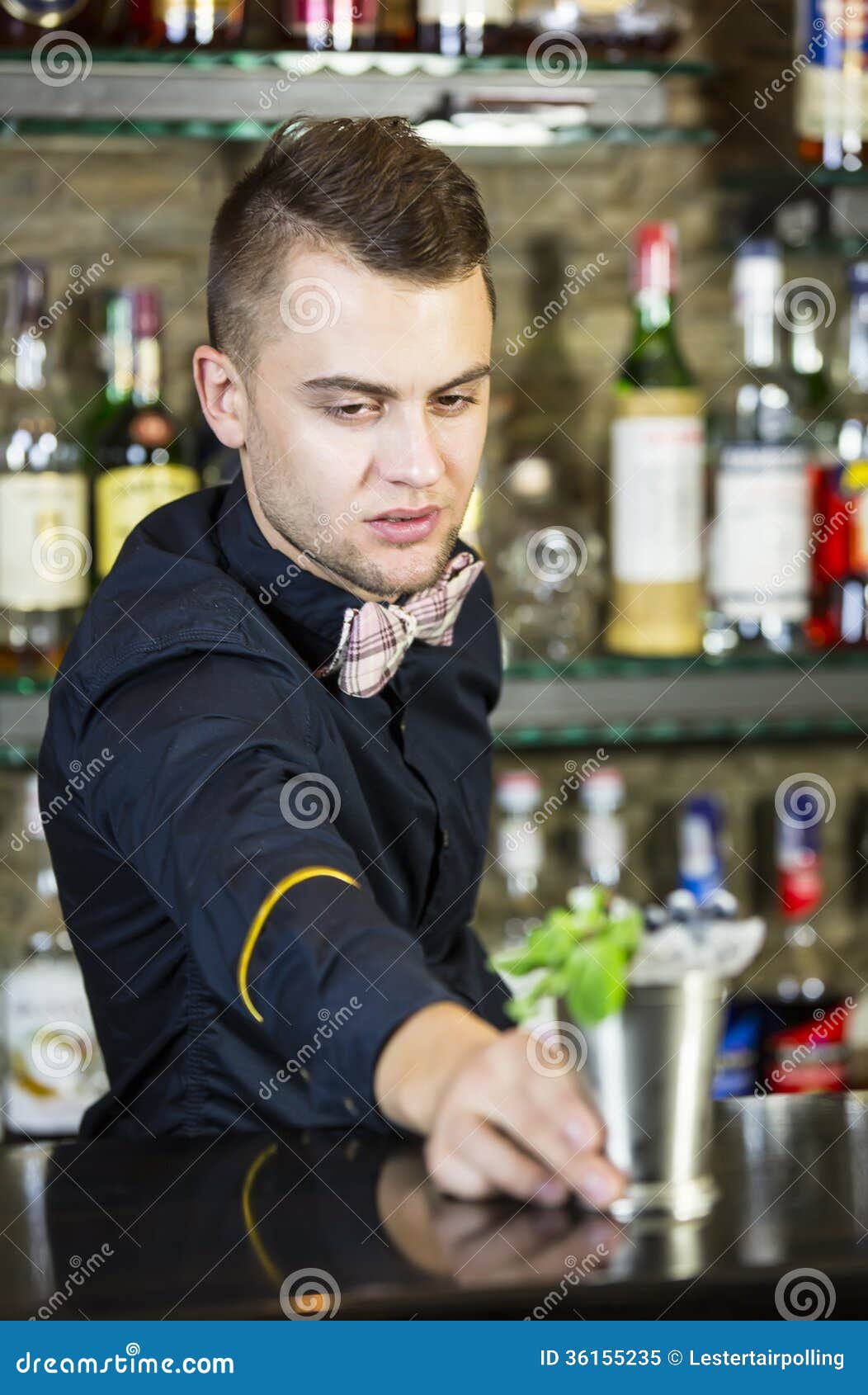 Bartender stock image. Image of indoors, clear, bottles - 36155235