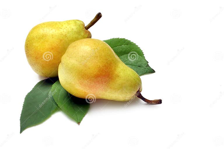 Bartlett Pear stock photo. Image of nutrition, pear, bartlett - 2591370