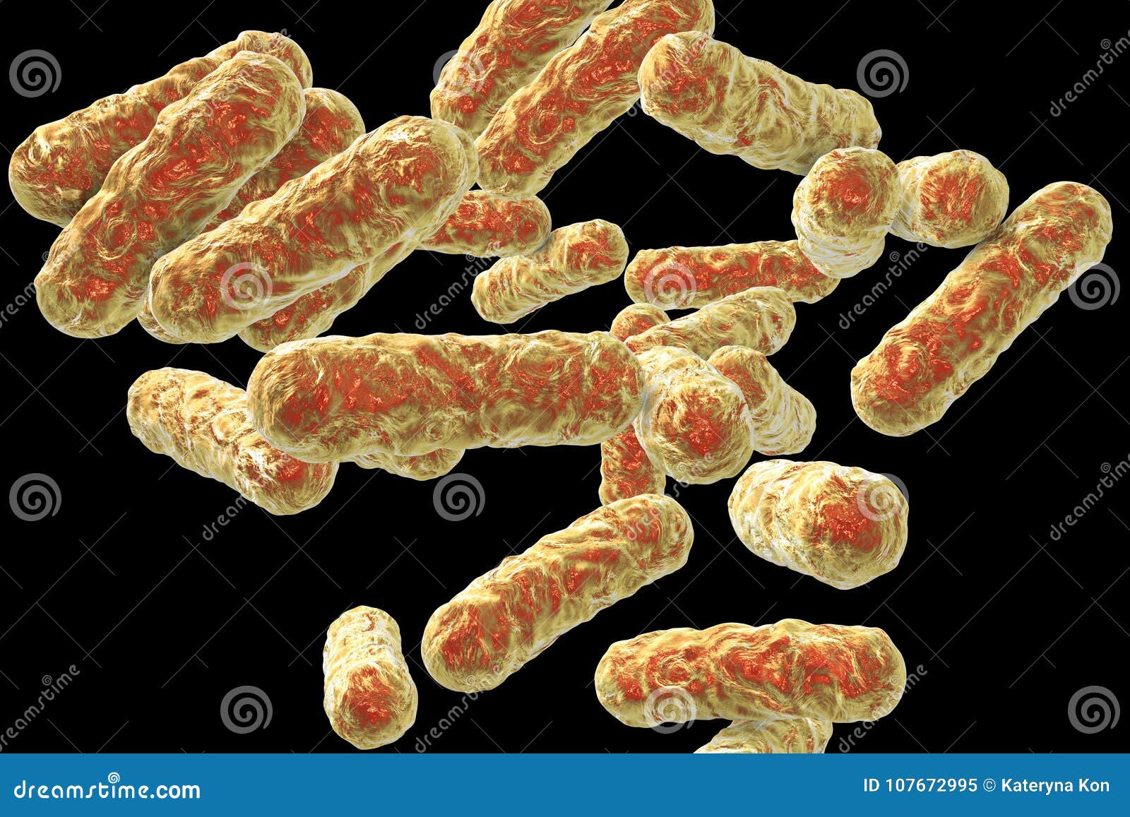 Bartonella Henselae Bacteria, the Causative Agent of Cat-scratch ...