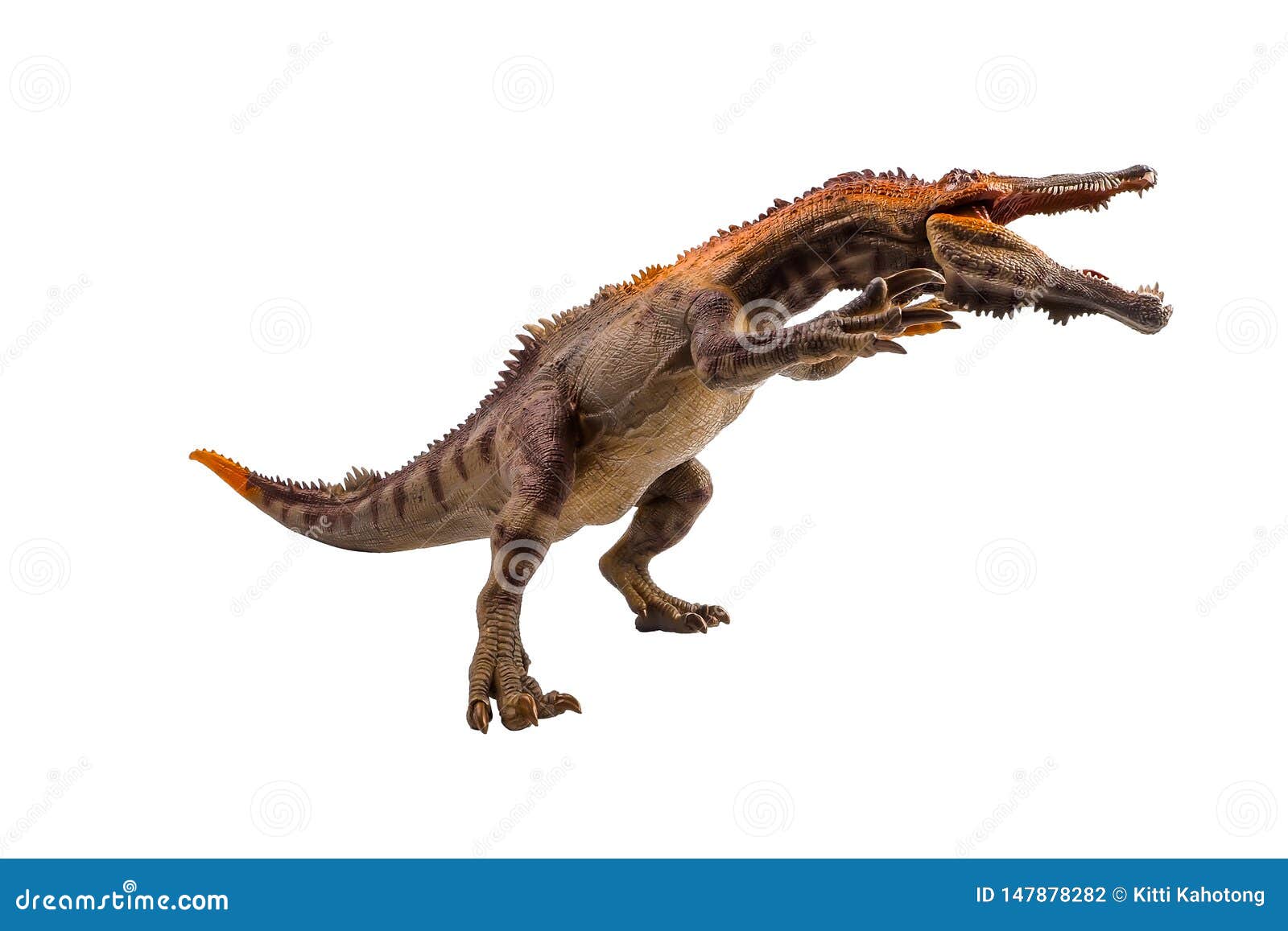 A Baryonyx Dinosaur Menaces An Herbivorous Sauropod Royalty-Free Stock ...