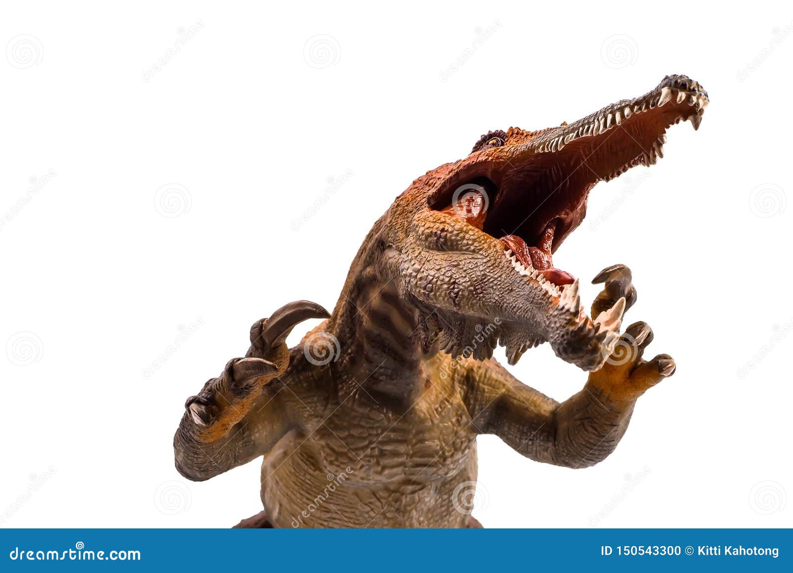 Baryonyx ,dinosaur on White Background Stock Photo - Image of ...
