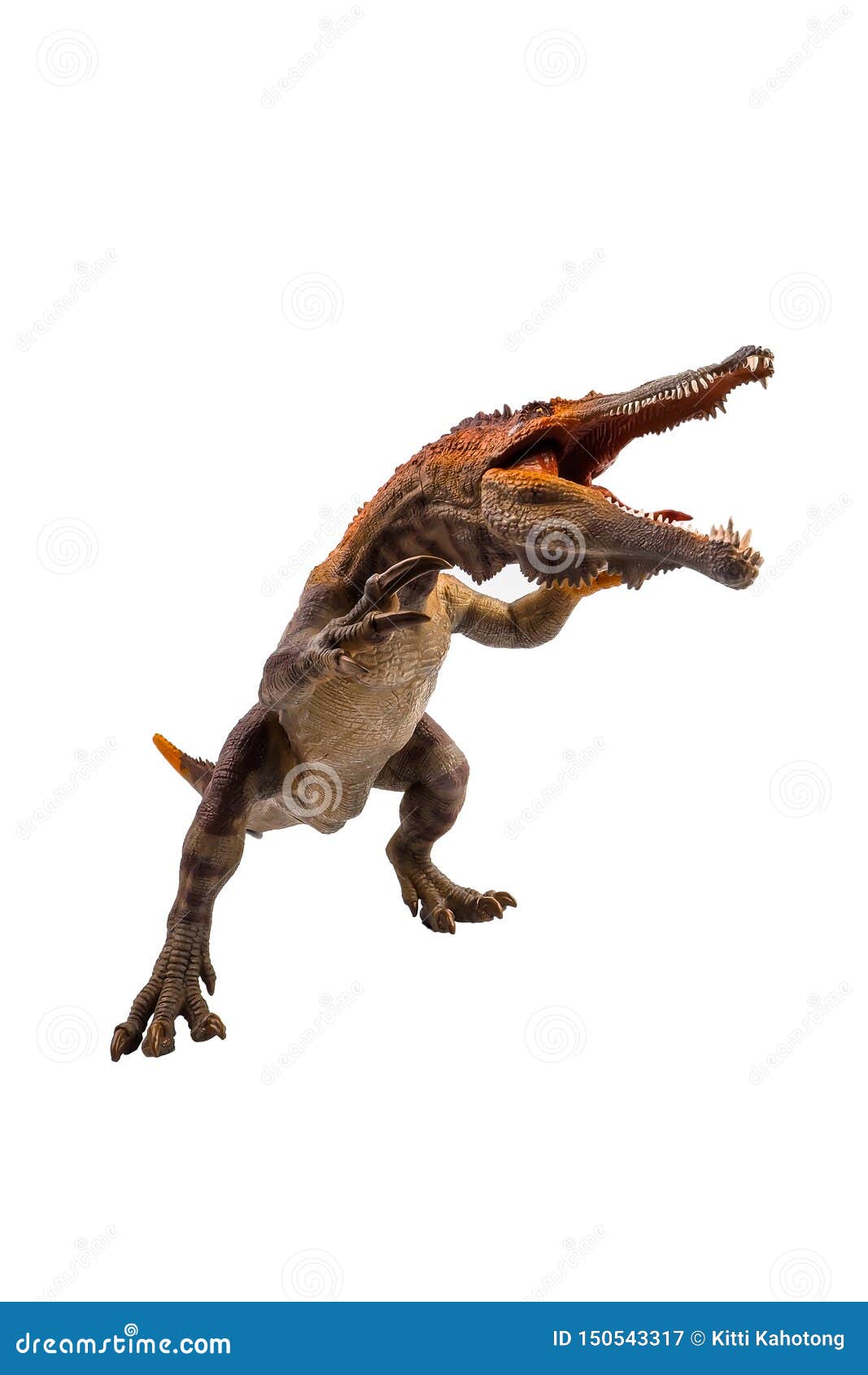 A Baryonyx Dinosaur Menaces An Herbivorous Sauropod Royalty-Free Stock ...