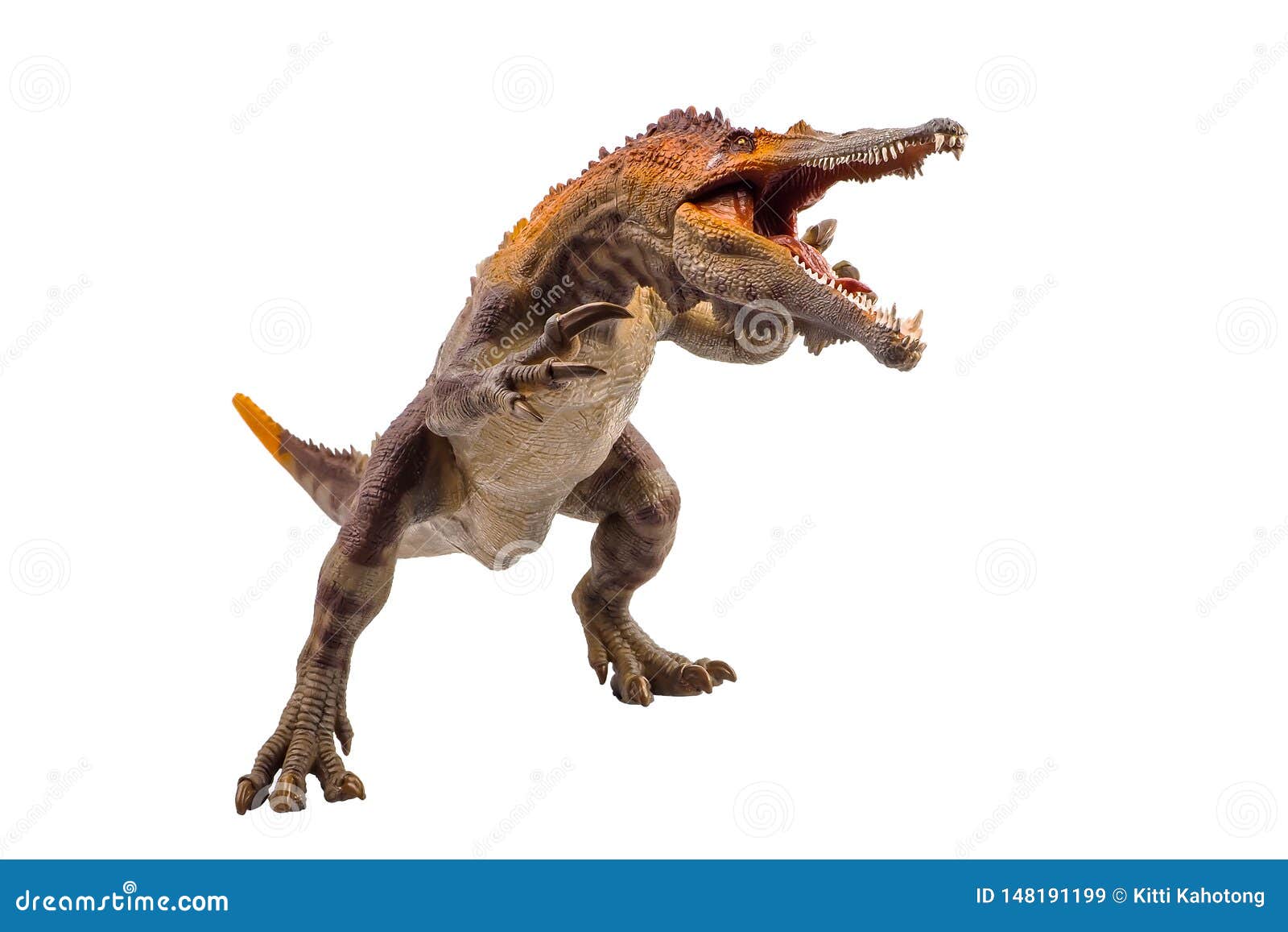 Baryonyx ,dinosaur on White Background Stock Image - Image of shape ...