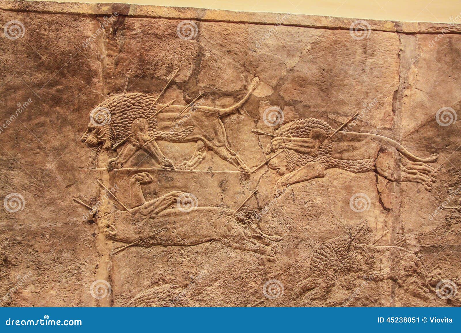 Bas relief stock image. Image of assyria, arrows, hunting - 45238051