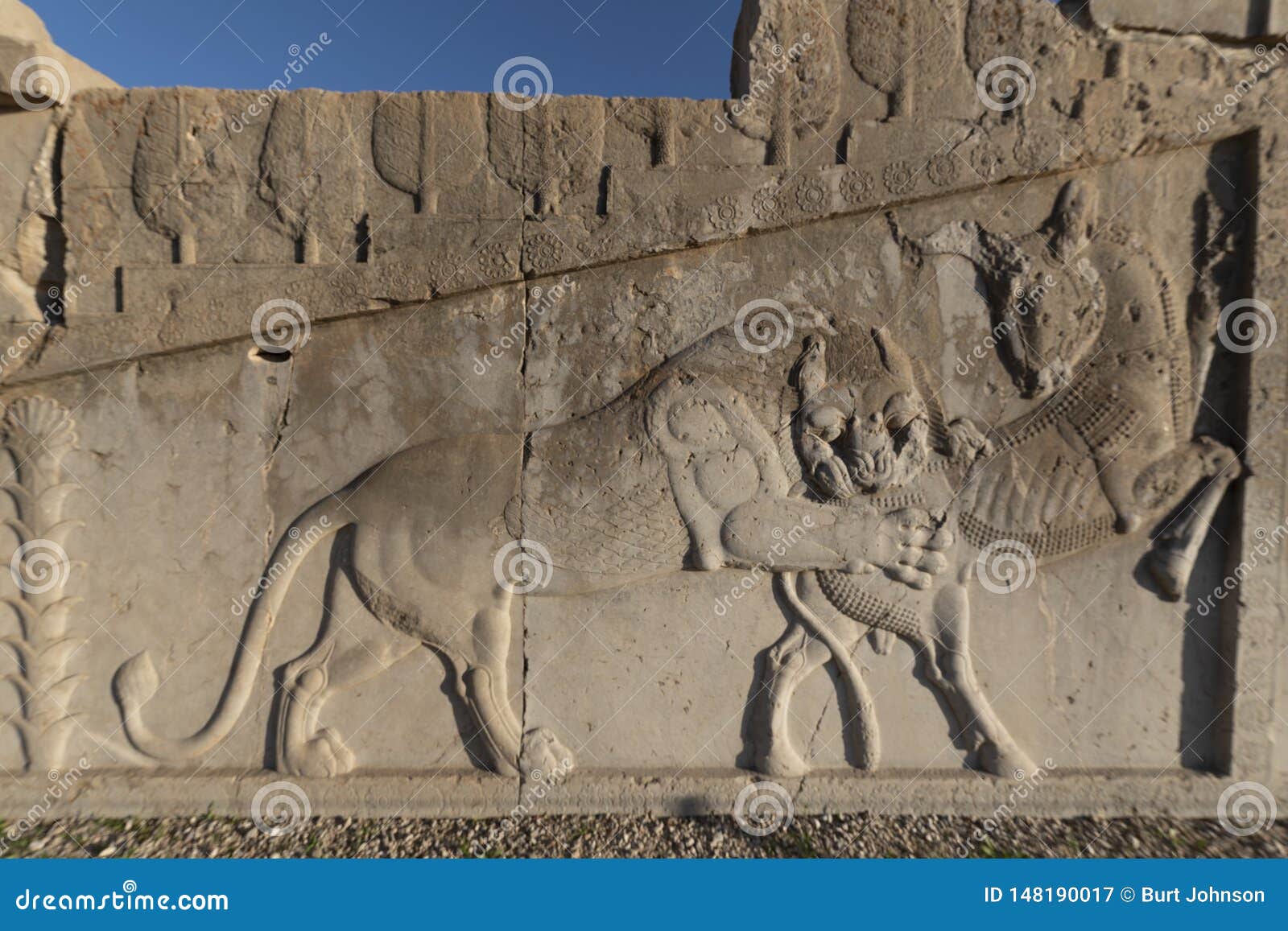 Bas-Relief Carvings at Persepolis Stock Image - Image of culture ...
