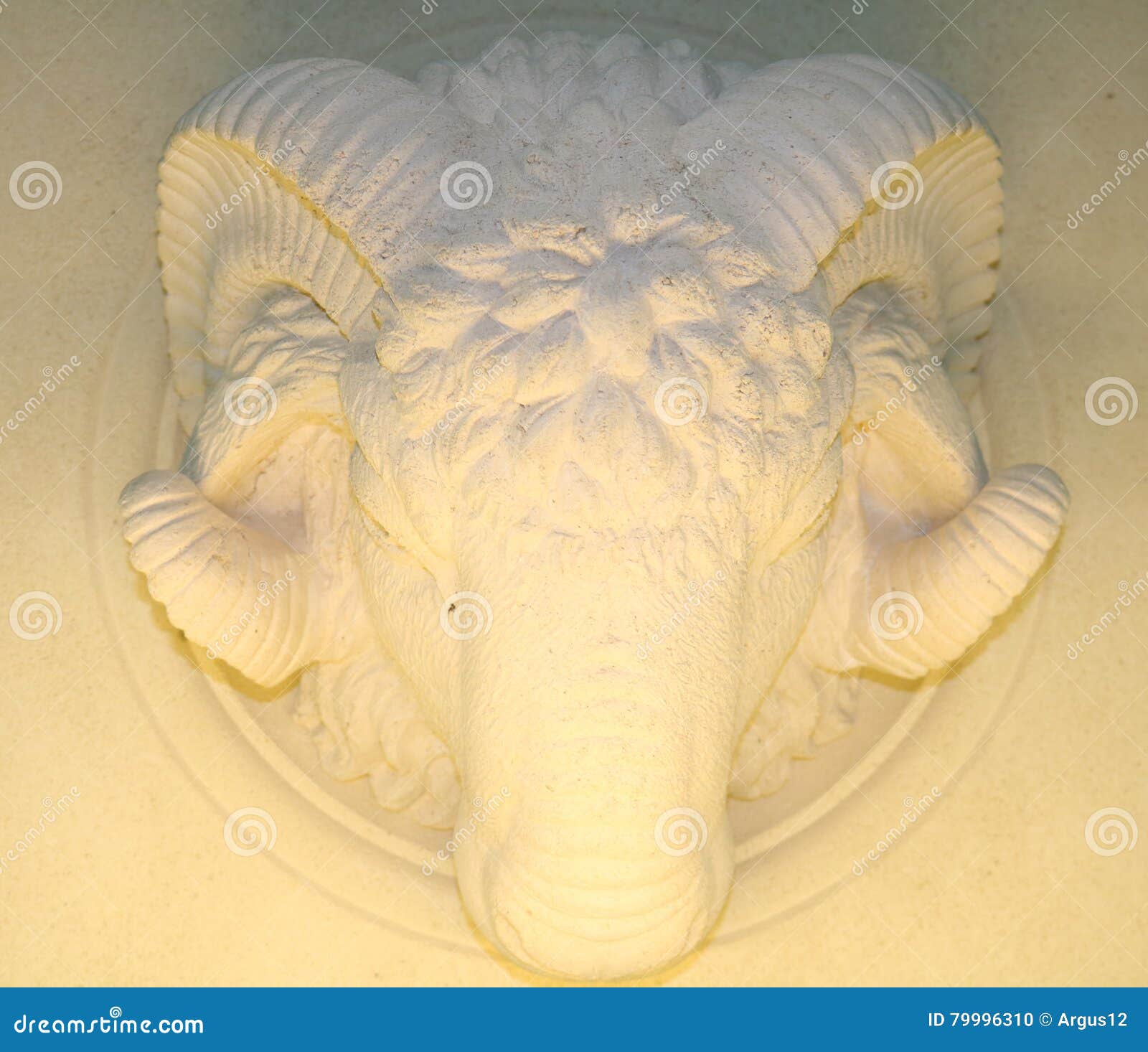 Bas-relief of a ram s head stock photo. Image of frieze - 79996310