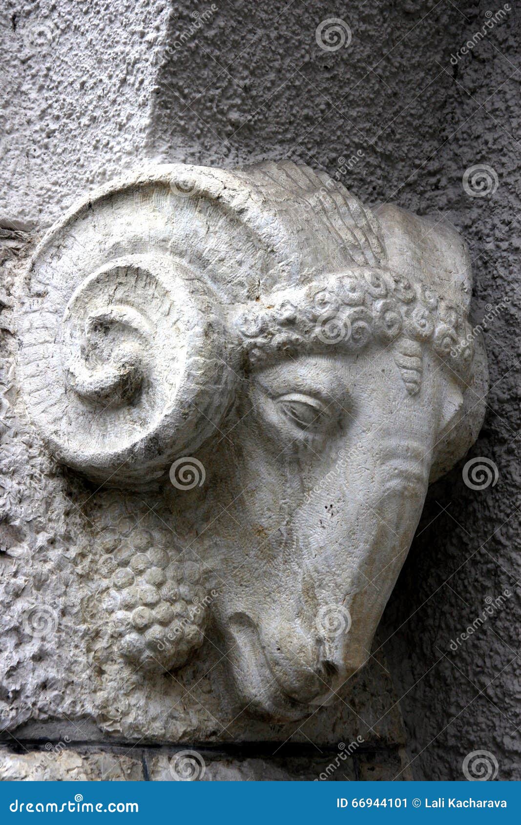Bas-relief stock image. Image of head, sheep, architecture - 66944101