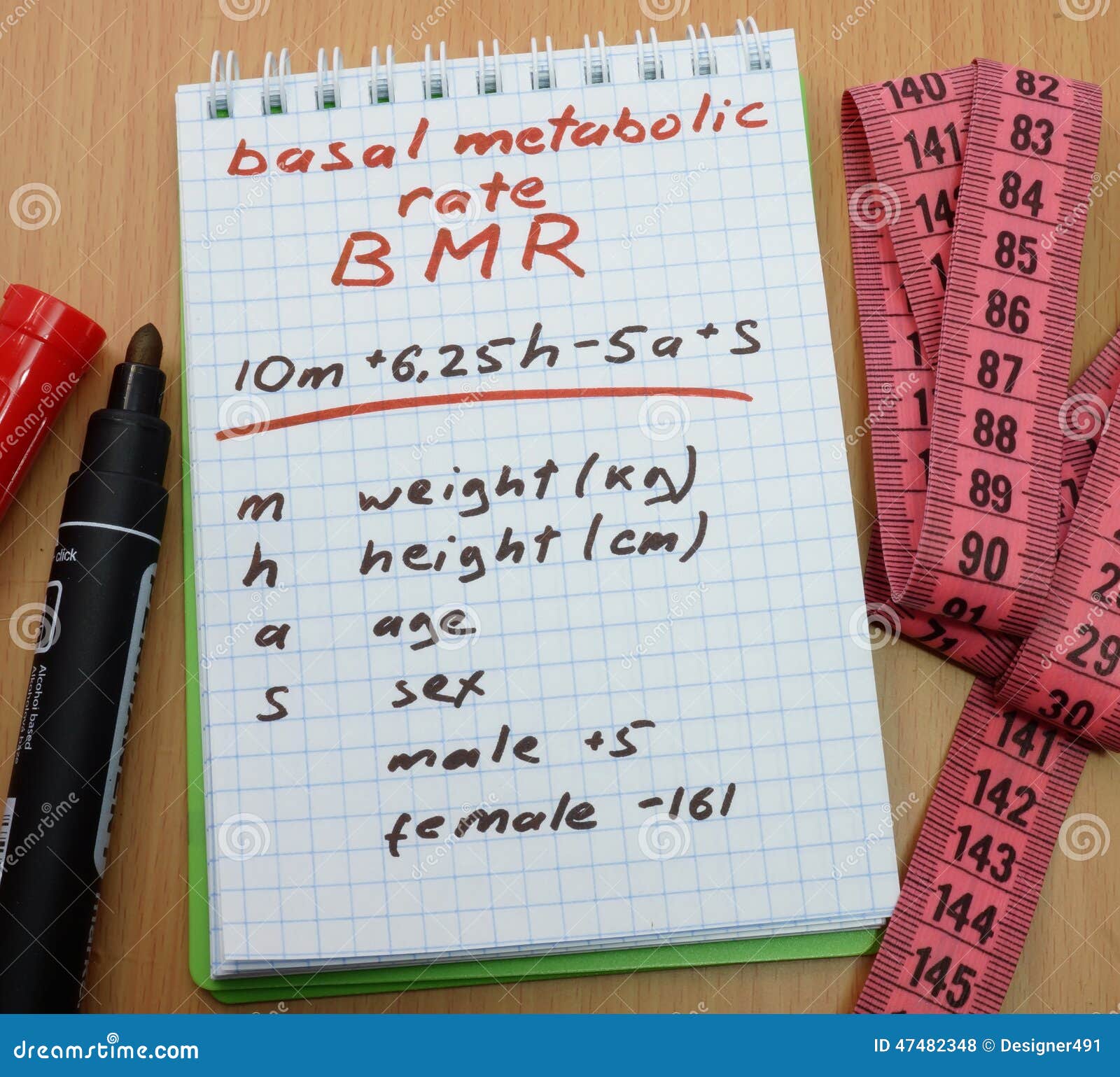 Basal metabolic rate, BMR stock photo. Image of organization - 47482348