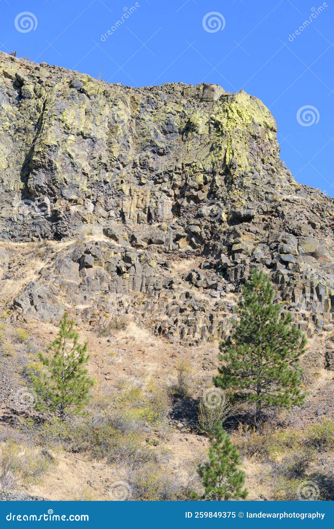Basalt Cliff with Trees in Dry Fall Under Blue Sky in Central ...