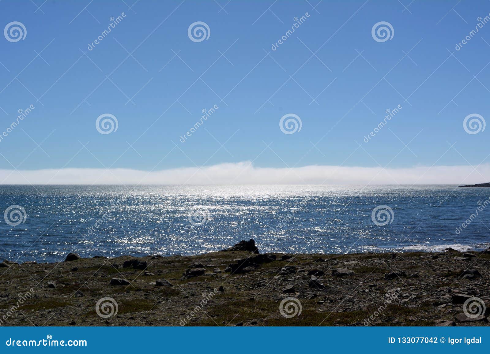 Basalt Coast of the Atlantic Ocean in the Eastern Fjords in Iceland ...