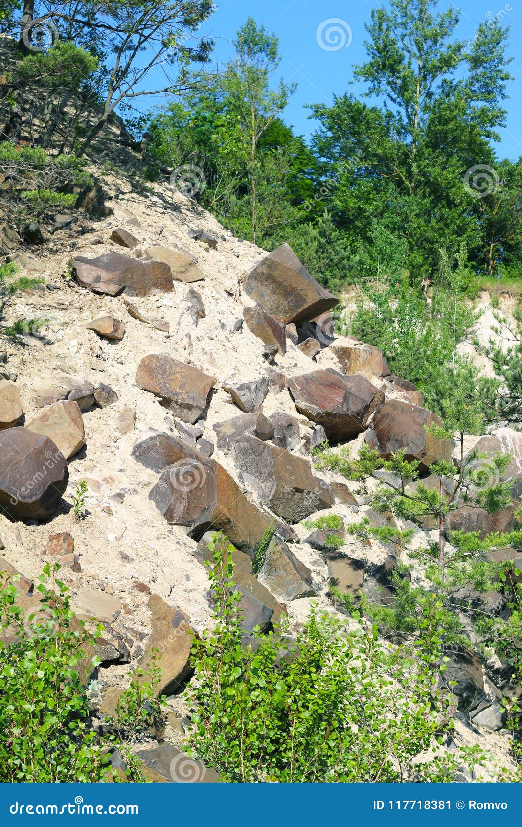 Basalt stones and tree stock image. Image of destination - 117718381