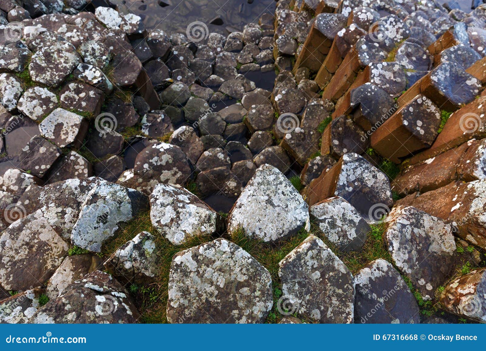 Basalt Columns of Giants Causeway Stock Photo - Image of close, column ...