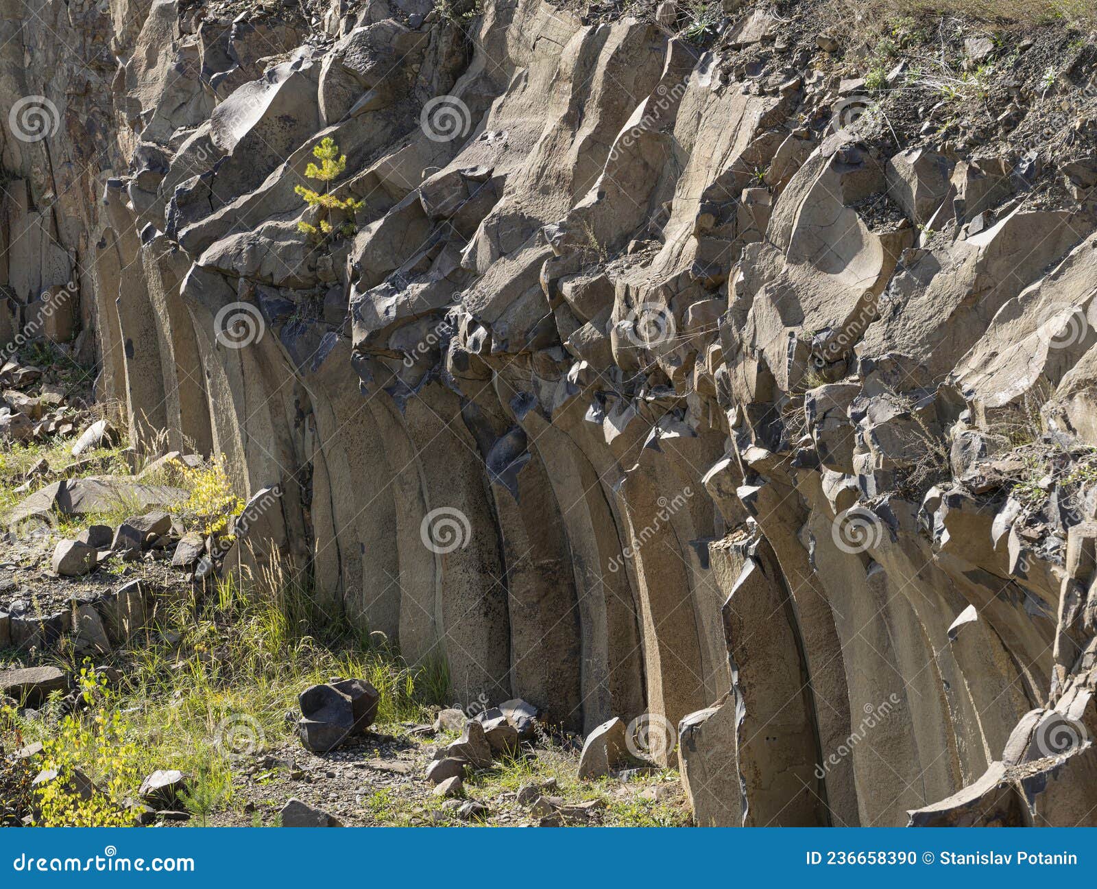 Basalt Emerges To the Surface in the Form of Beautiful Pillars Stock ...