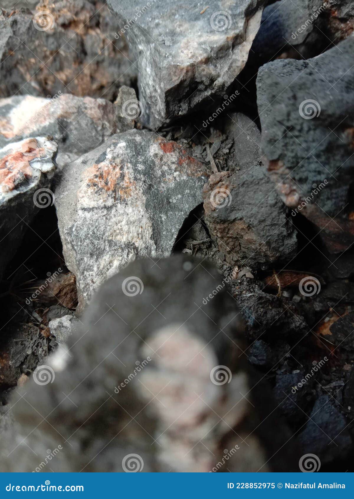 Basalt is an Extant, Frozen Rock Formed from Magma Calcification ...