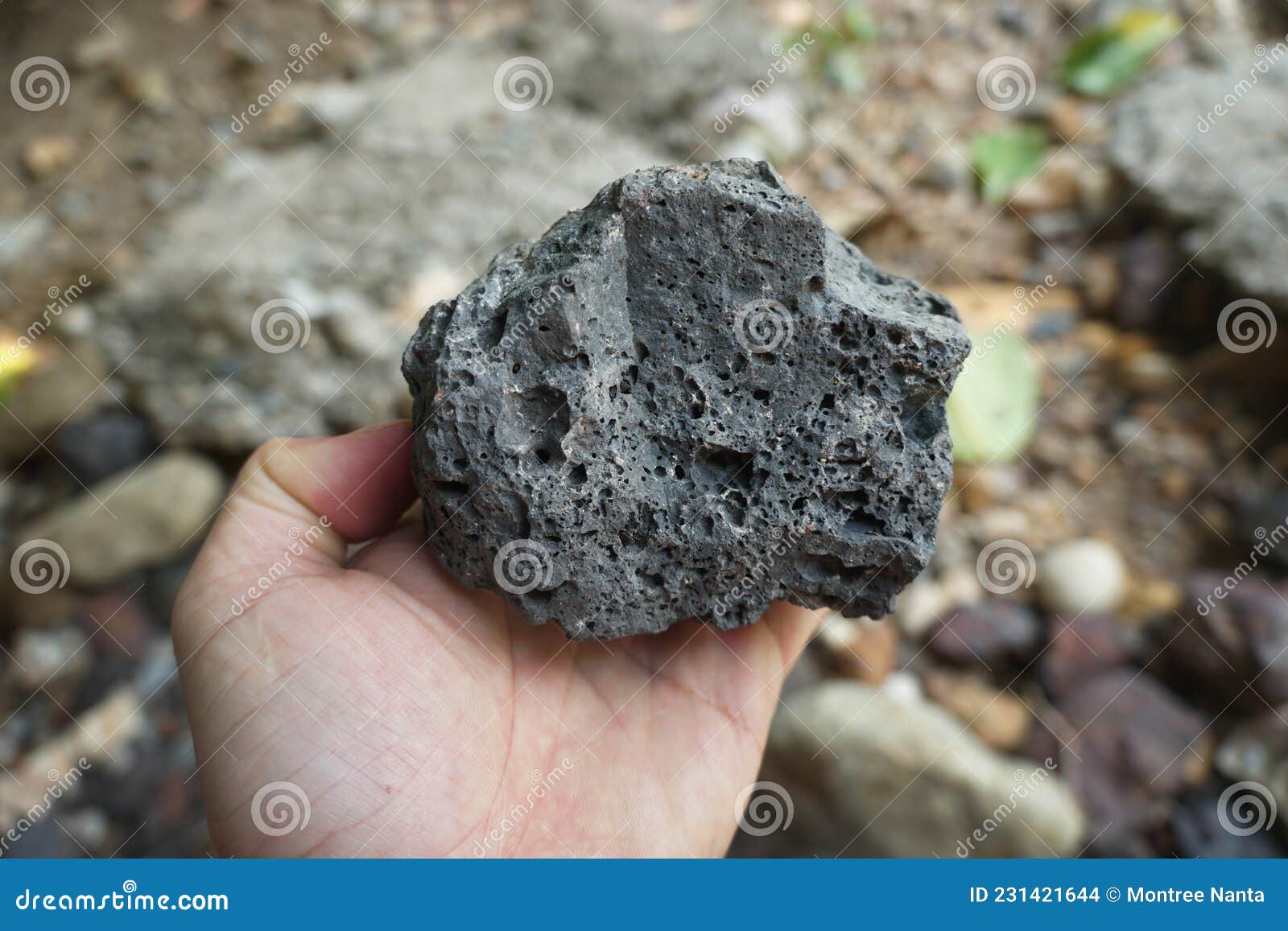 Basalt Igneous Rock Stone Isolated On White Background. Royalty-Free ... Basalt Igneous Rock Stone Isolated On White Background. Royalty-Free ...