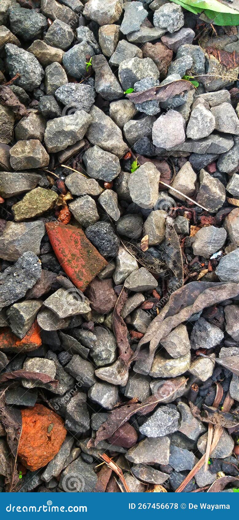 Basalt and Trap Building Stones and Some Dry Leaves Stock Photo - Image ...