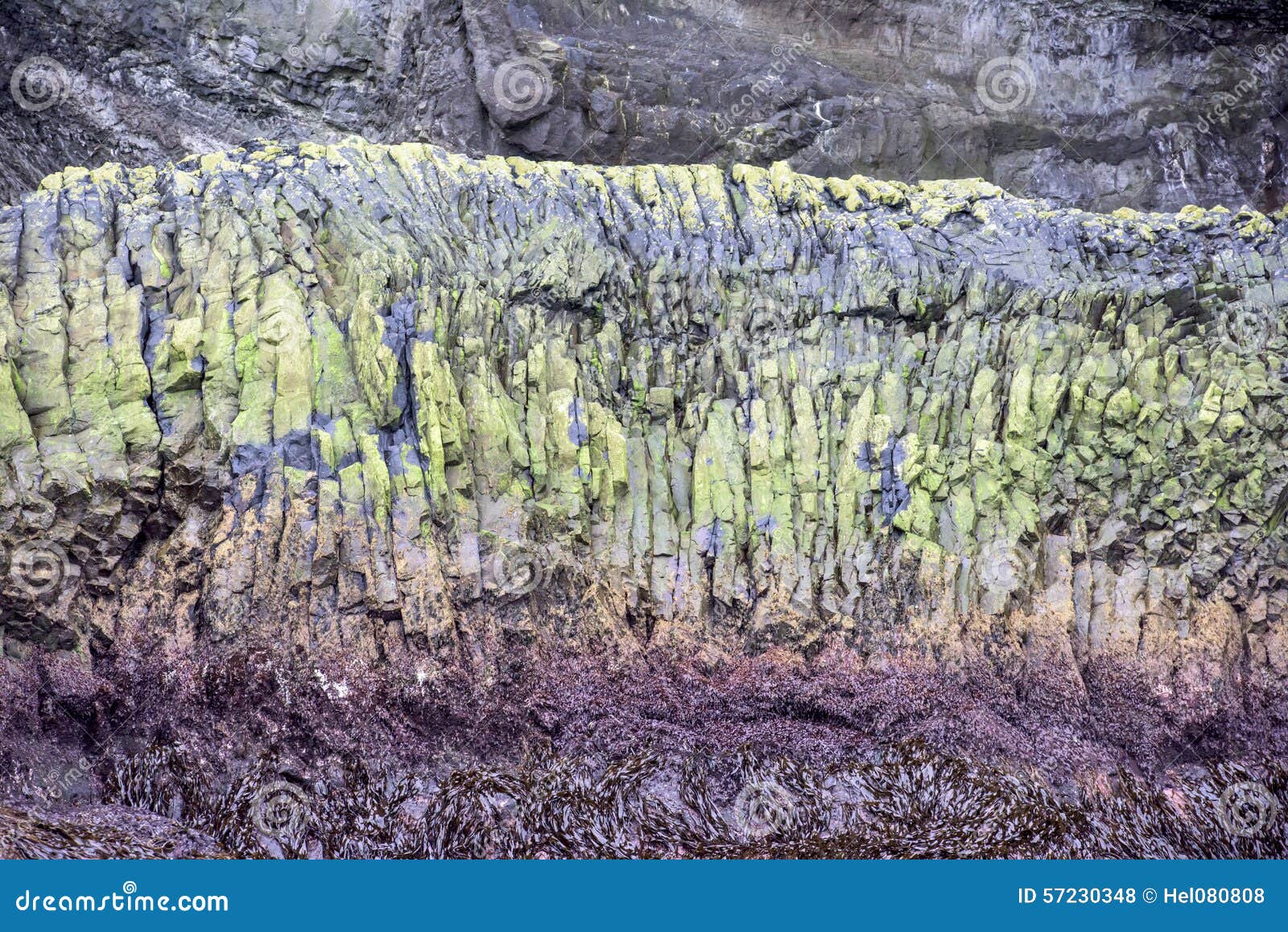 Natural Texture. Pattern in Basalt Rocks, Geometric Pattern with Moss ...