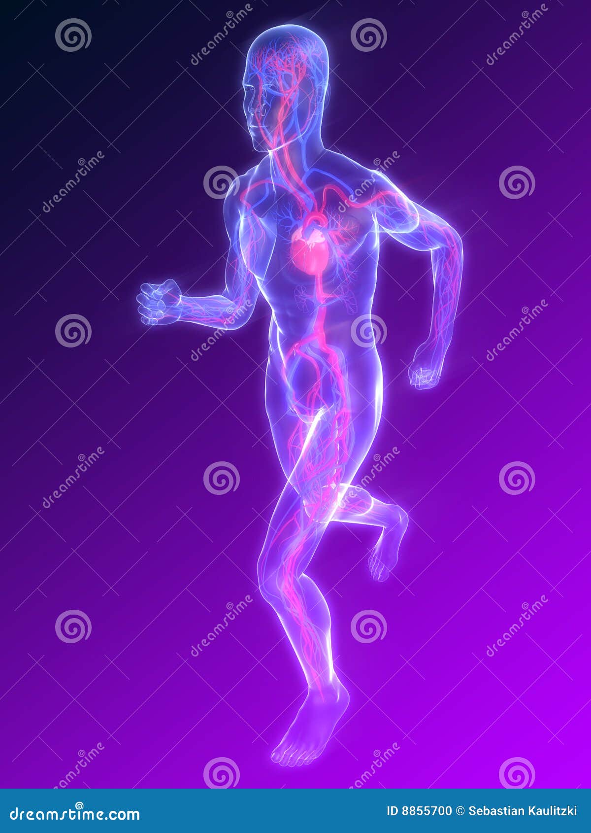 Roxo Berinjela Color Pictures And Images - RGB Color Hex Code [#8000C0 ...