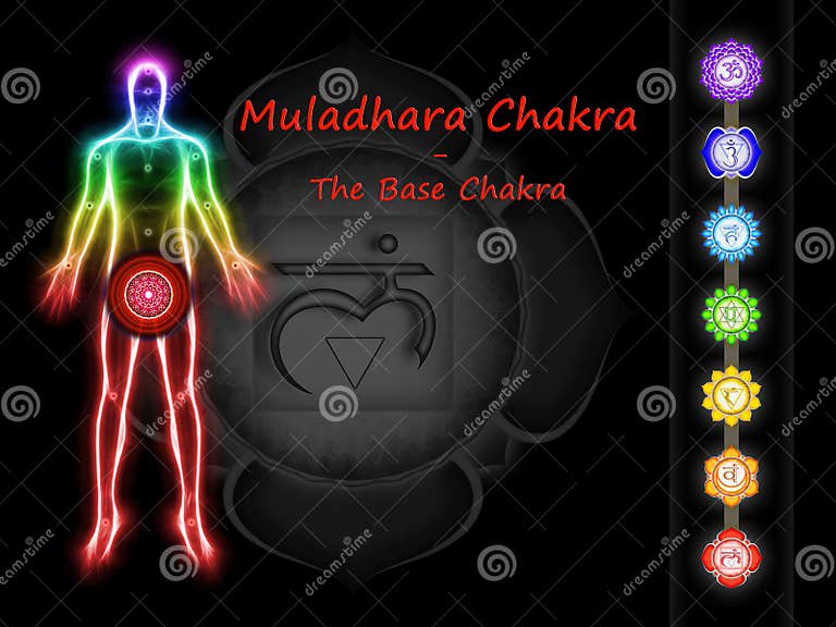 The Base Chakra stock illustration. Illustration of relaxation - 41656913