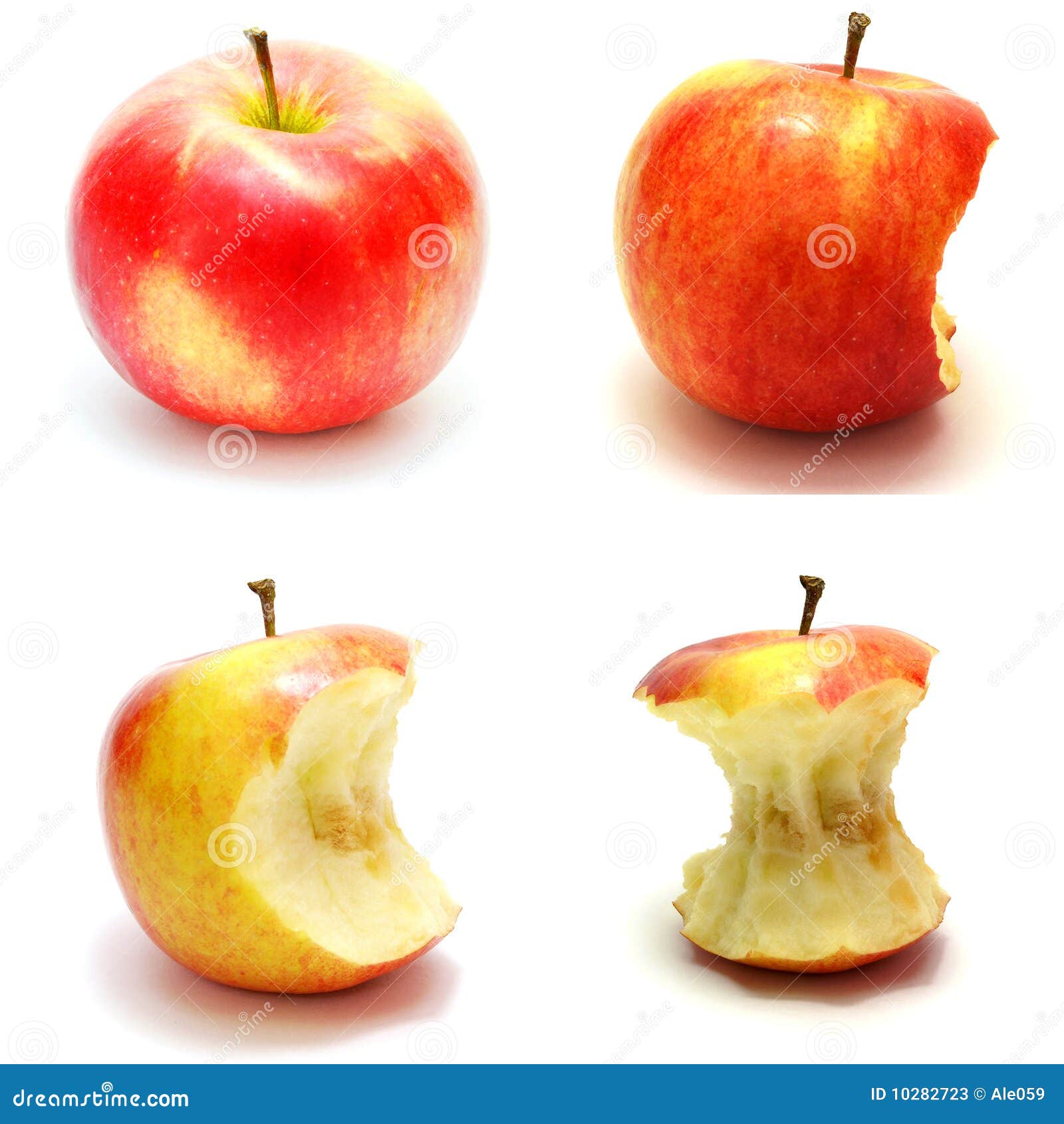 Base de Apple imagen de archivo. Imagen de fresco, base - 10282723