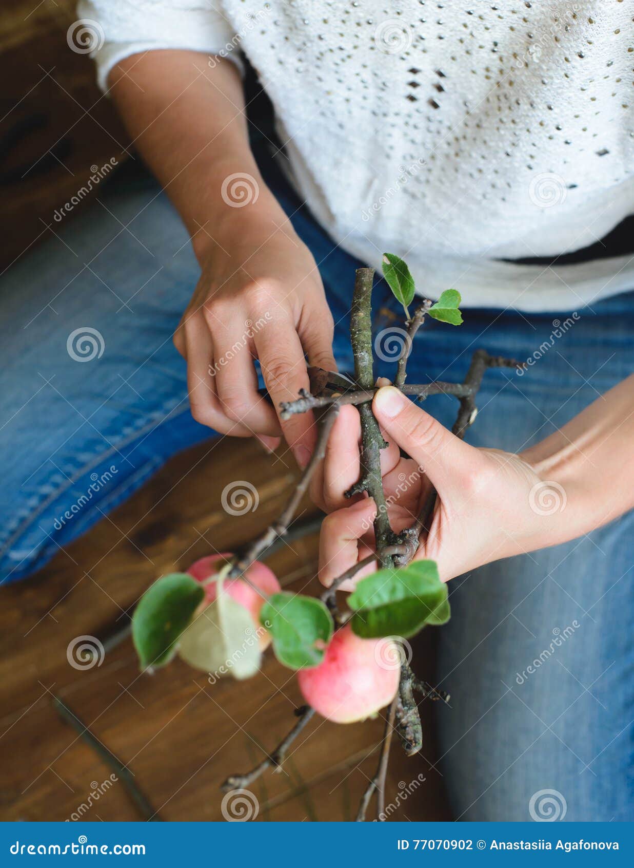 Base Para Un Ramo De Ramas De La Manzana Foto de archivo - Imagen de ...
