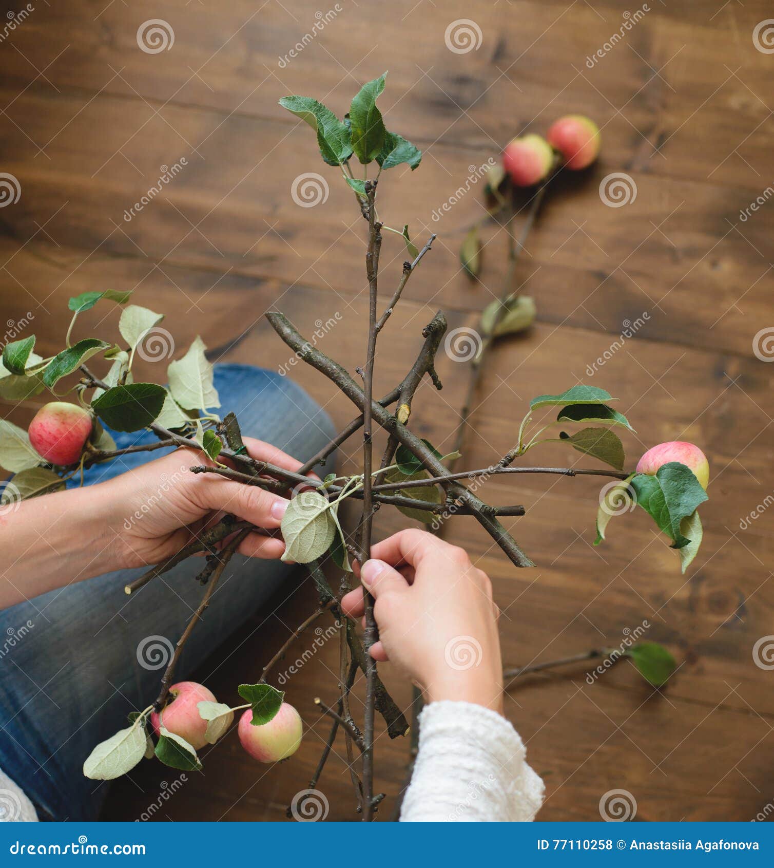 Base Para Un Ramo De Ramas De La Manzana Foto de archivo - Imagen de ...
