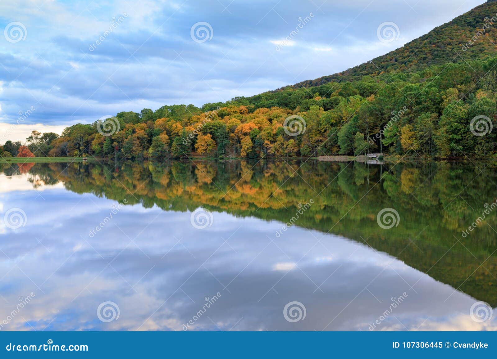 Base of Sharp Top Mountain in Virginia at Abbott Lake Stock Image ...
