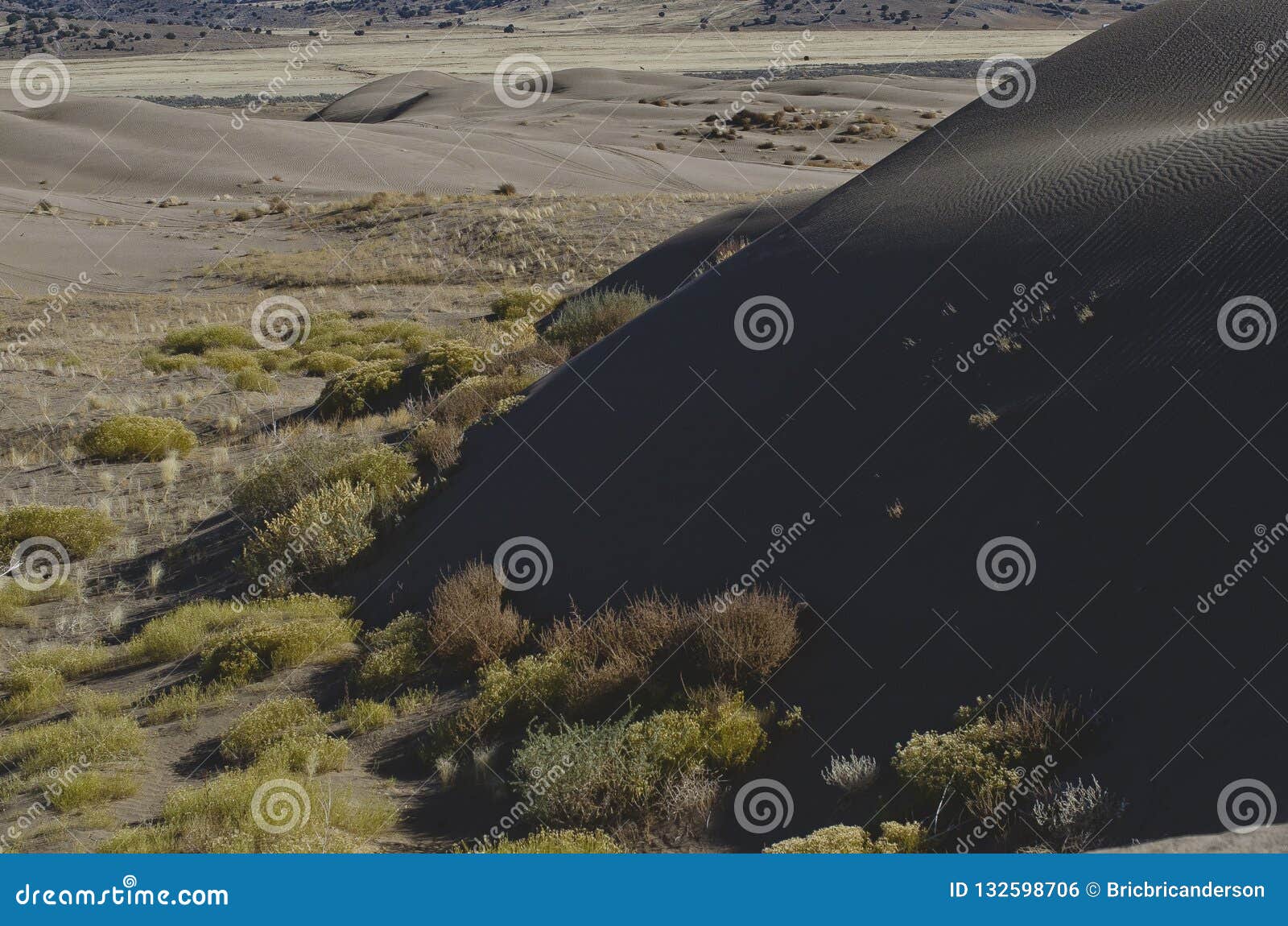 The Base of the Sand Dune in the Great Basin Stock Photo - Image of ...