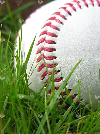 Baseball stock image. Image of american, green, leather - 282853
