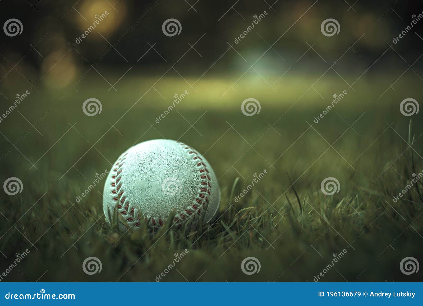 Baseball Ball on the Green Grass Stock Image - Image of park, nature ...