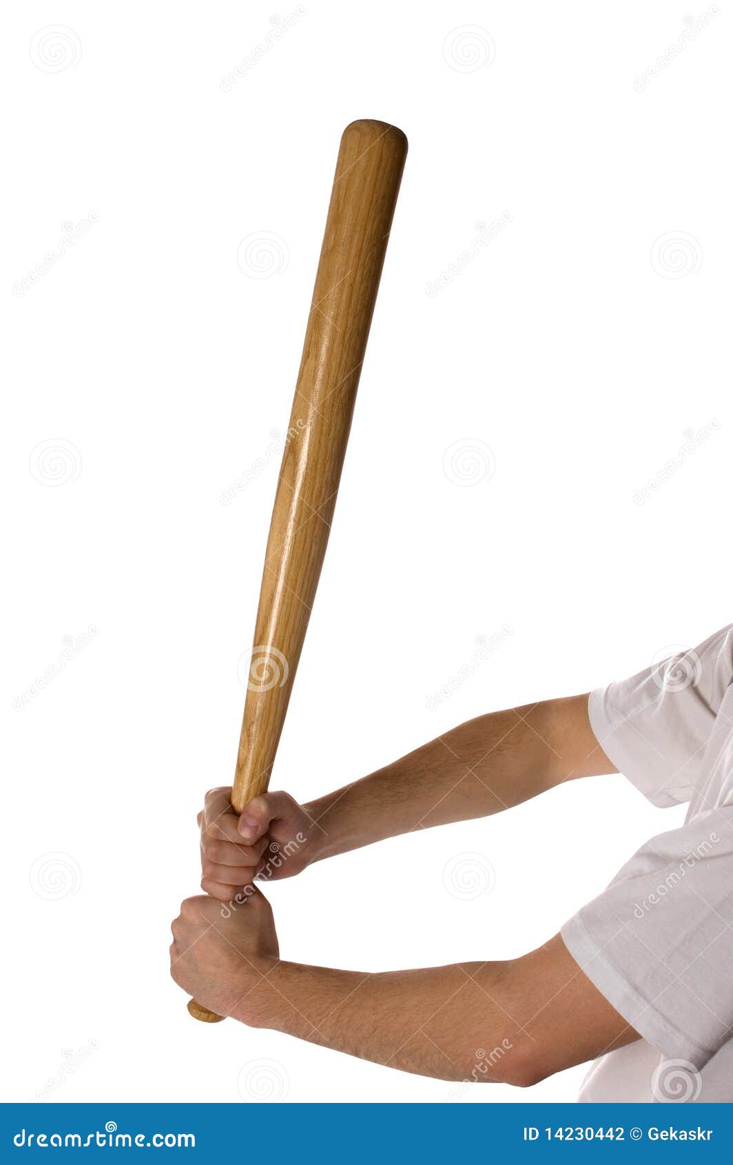 Baseball bat stock photo. Image of space, single, traditional - 14230442