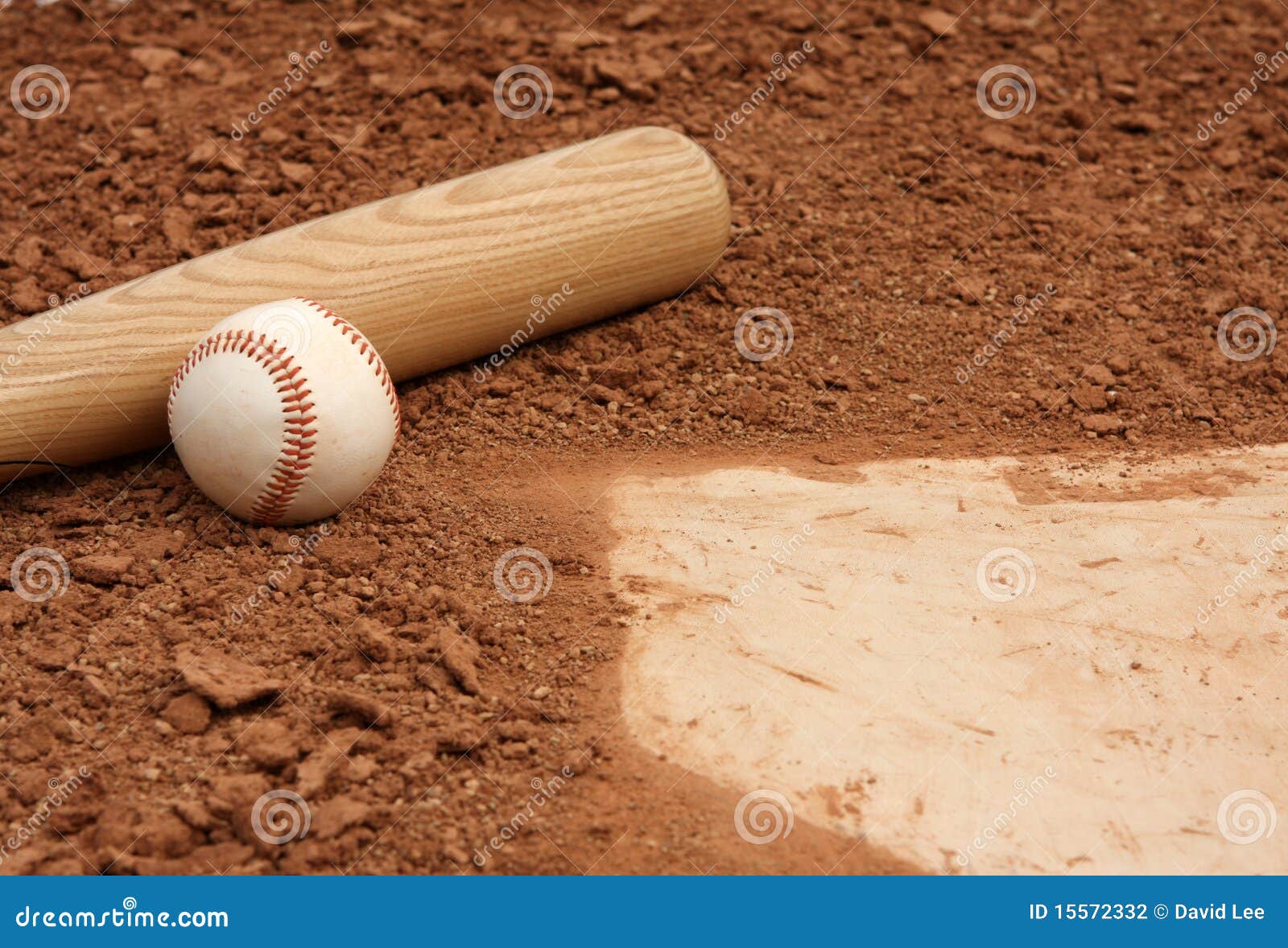 Baseball & Bat Close Up Stock Photo - Image of recreation, game: 15572332