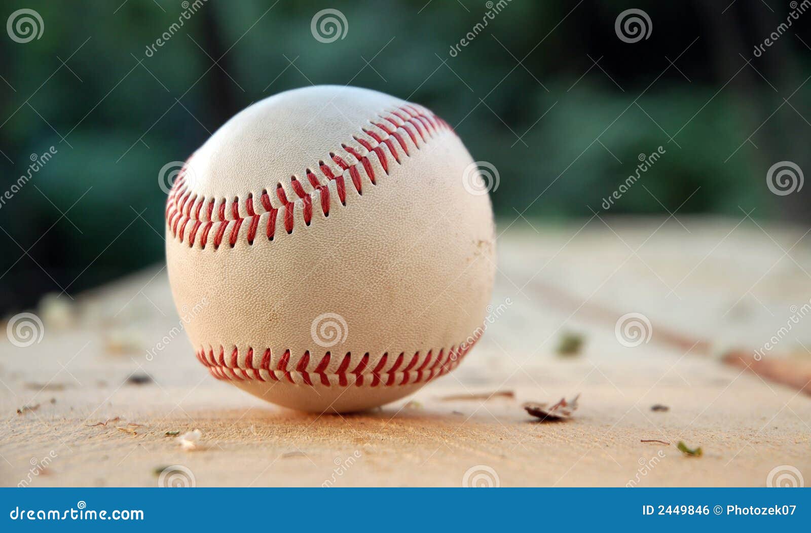 Baseball on the bench stock photo. Image of sport, dugout - 2449846
