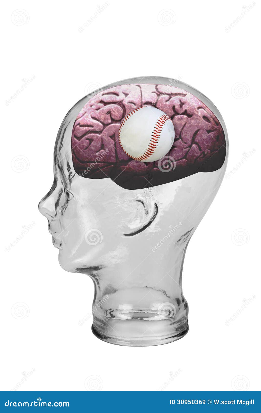 Baseball Brain. stock image. Image of cyborg, intellect - 30950369