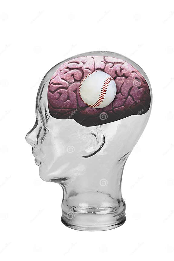 Baseball Brain. stock image. Image of cyborg, intellect - 30950369