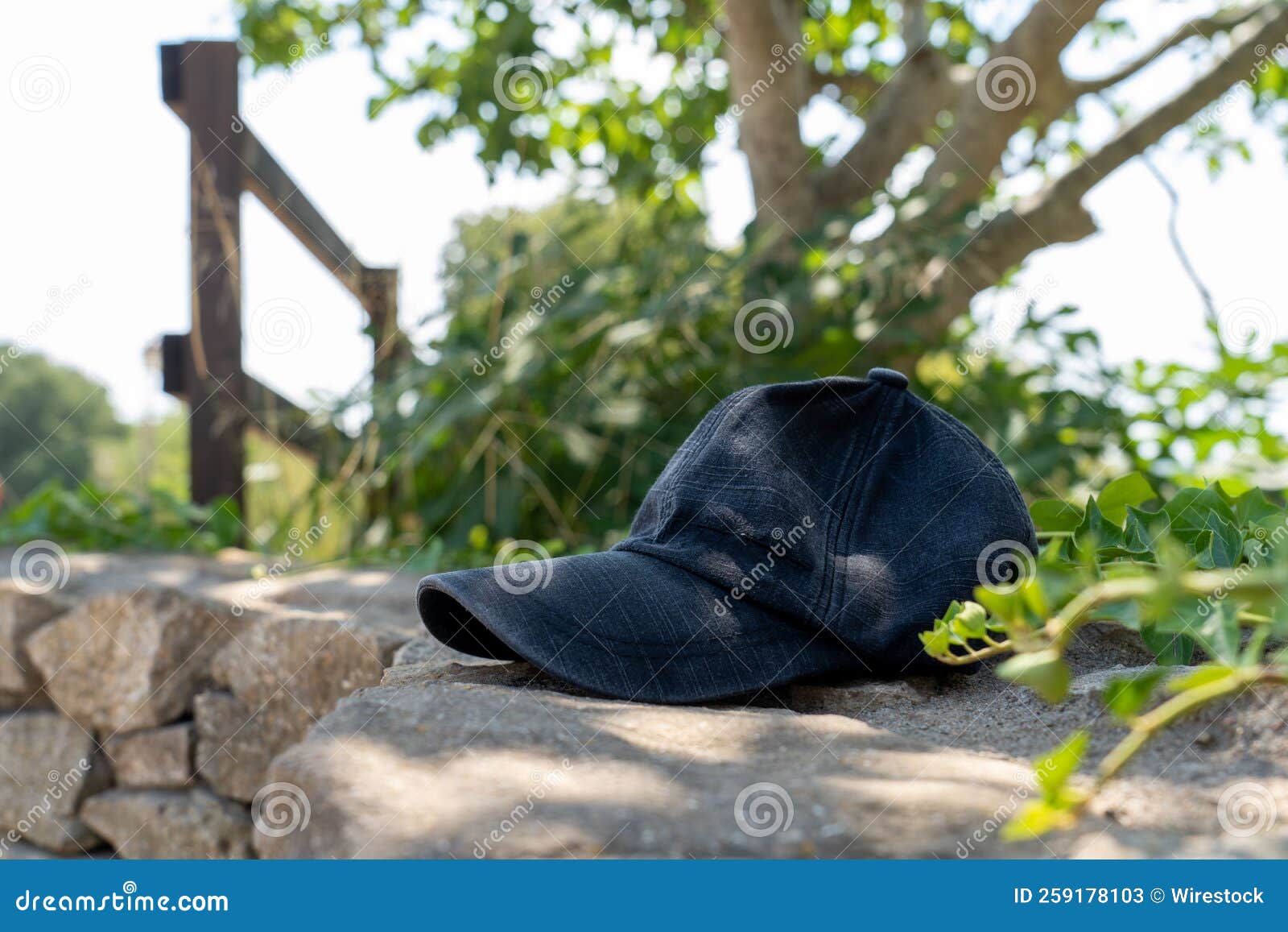 Baseball Cap on a Rocky Surface with Trees in the Blurred Background ...