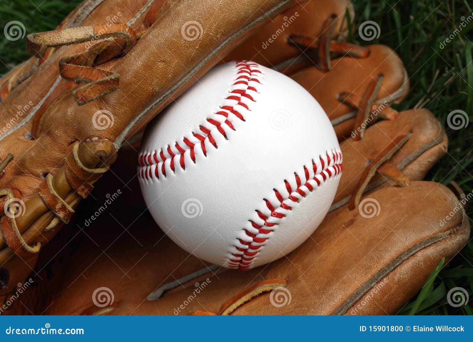 Baseball catch stock photo. Image of glove, summer, play - 15901800