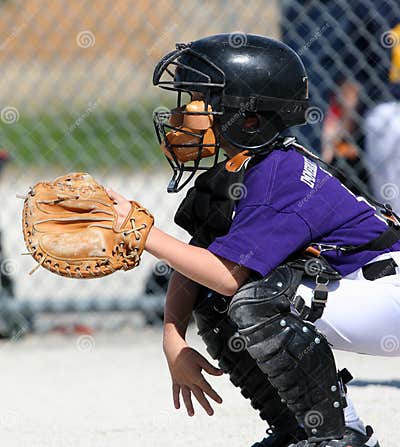 Baseball catcher stock photo. Image of recreation, signals - 2083292