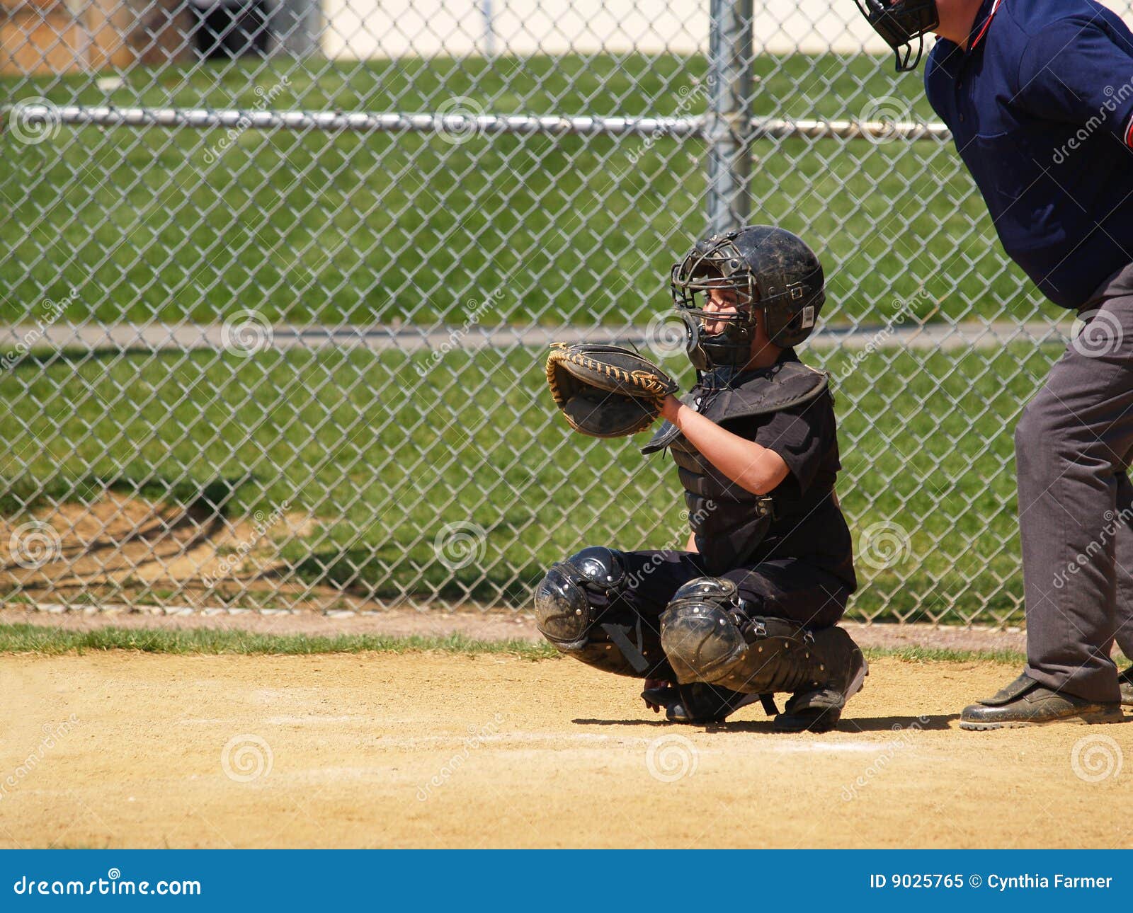 Baseball catcher stock image. Image of ball, compete, officiate - 9025765