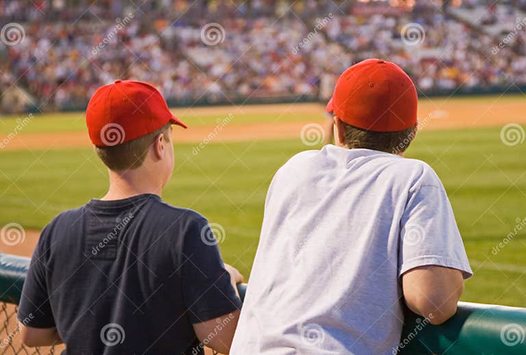 Baseball Fans stock image. Image of spectator, fans, bases - 2682611