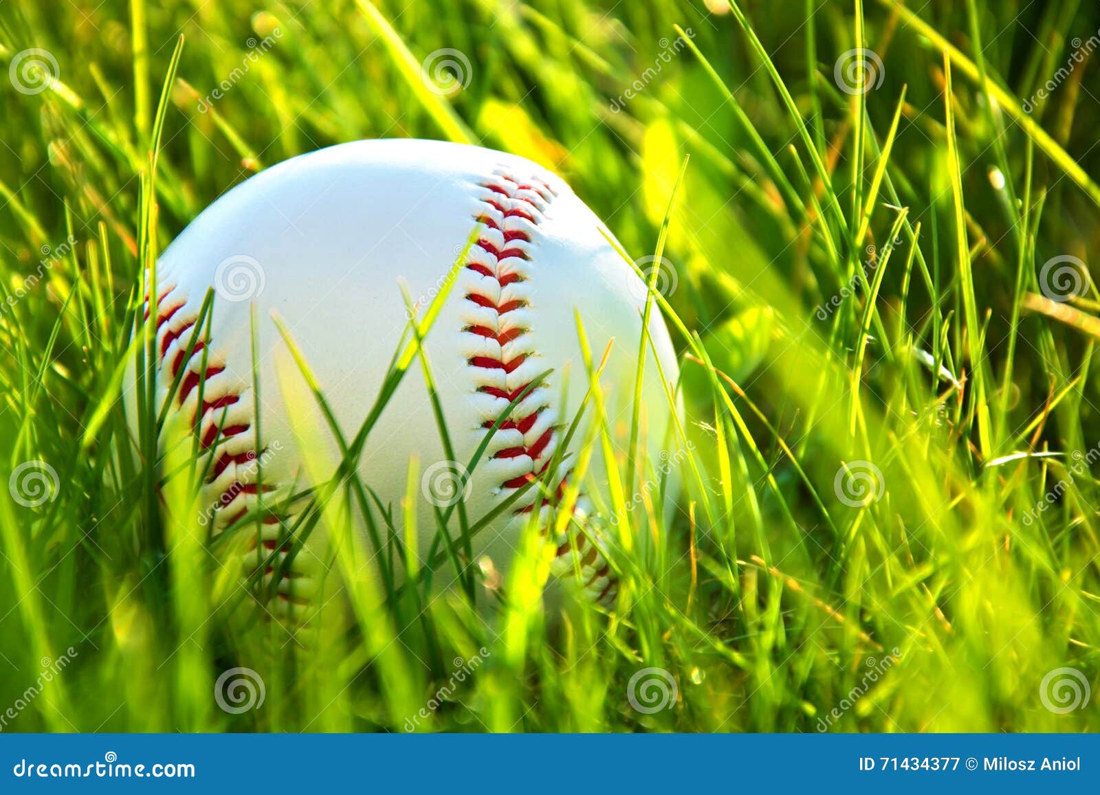 Baseball game. stock image. Image of challenge, lawn - 71434377