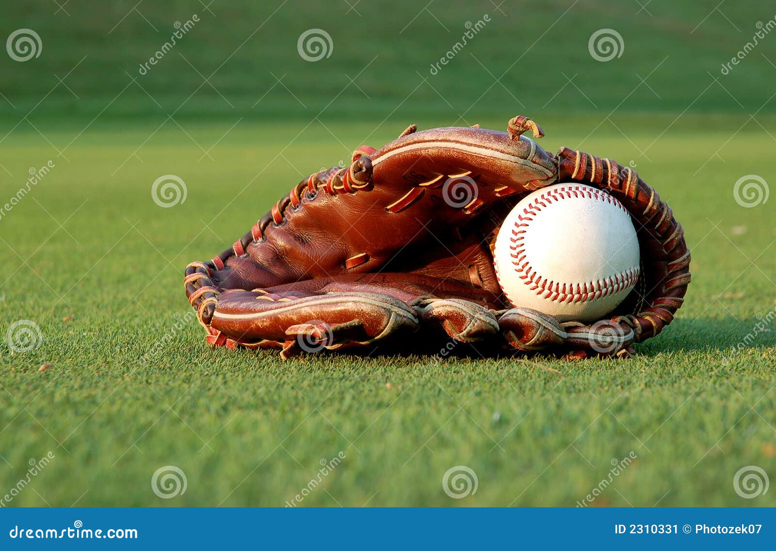 Baseball Glove Stock Image | CartoonDealer.com #2310331