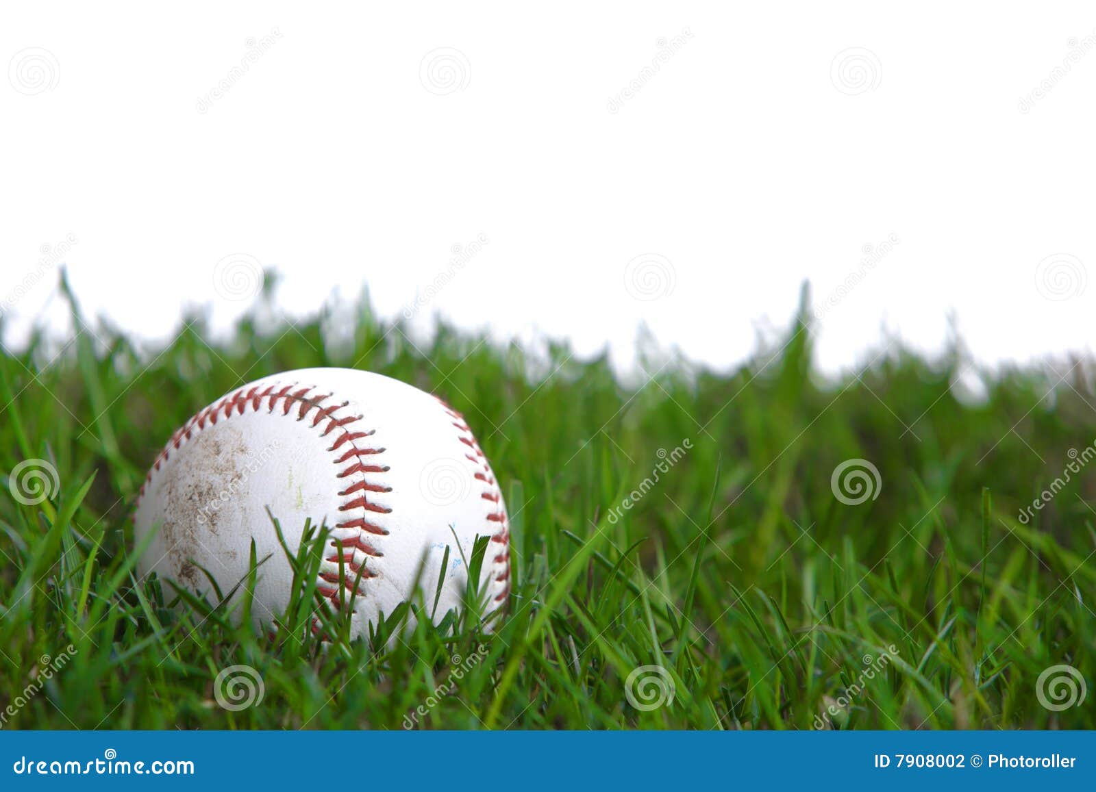 A baseball in the grass stock photo. Image of macro, ball - 7908002