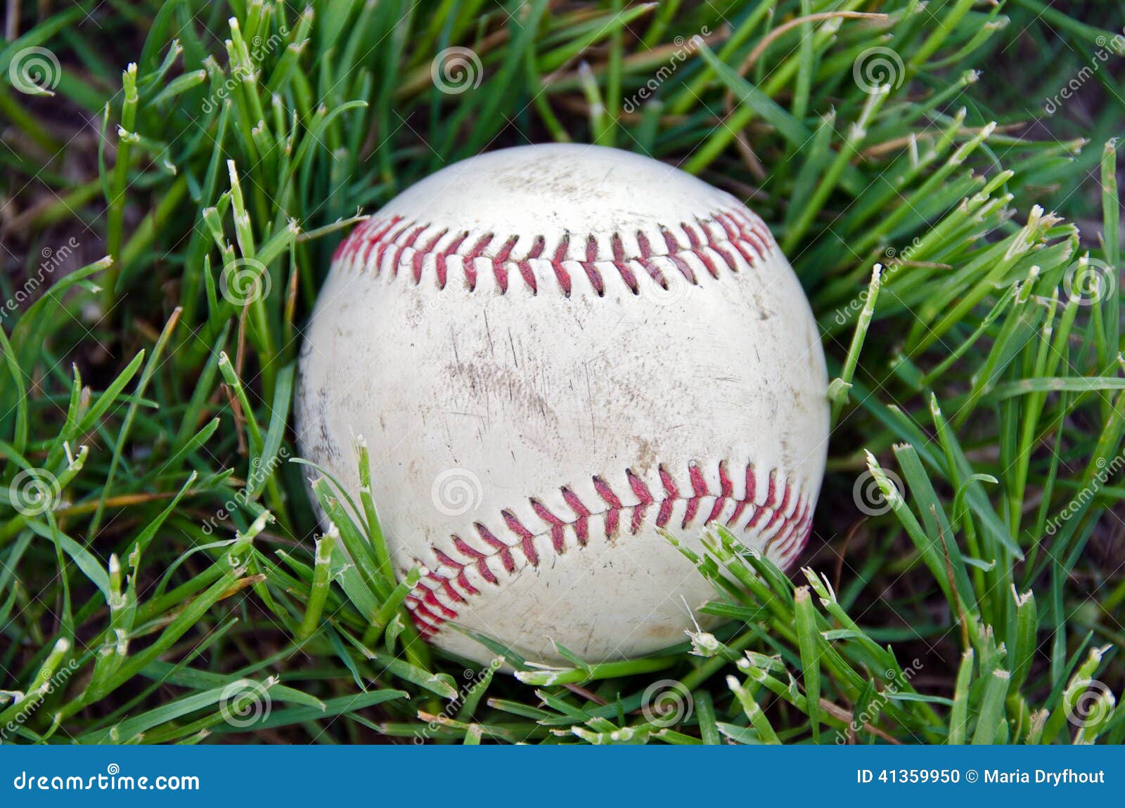 Baseball in green grass stock photo. Image of used, summer - 41359950