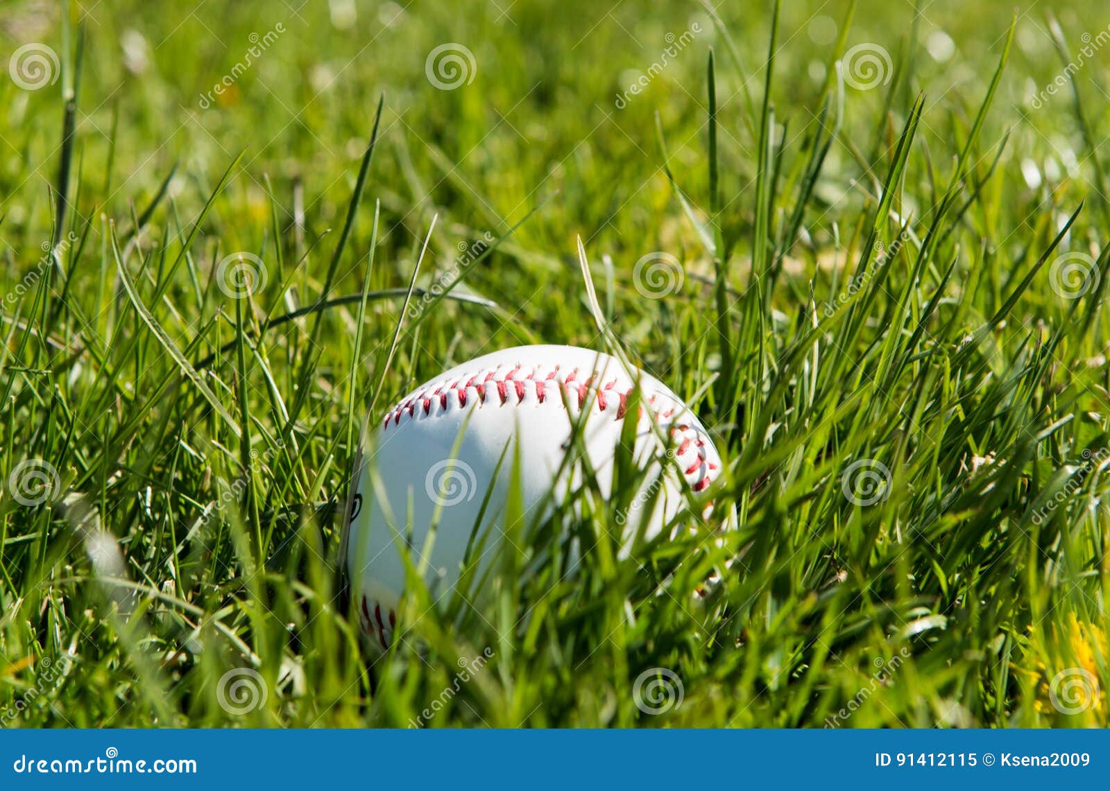 Baseball in green grass stock image. Image of series - 91412115