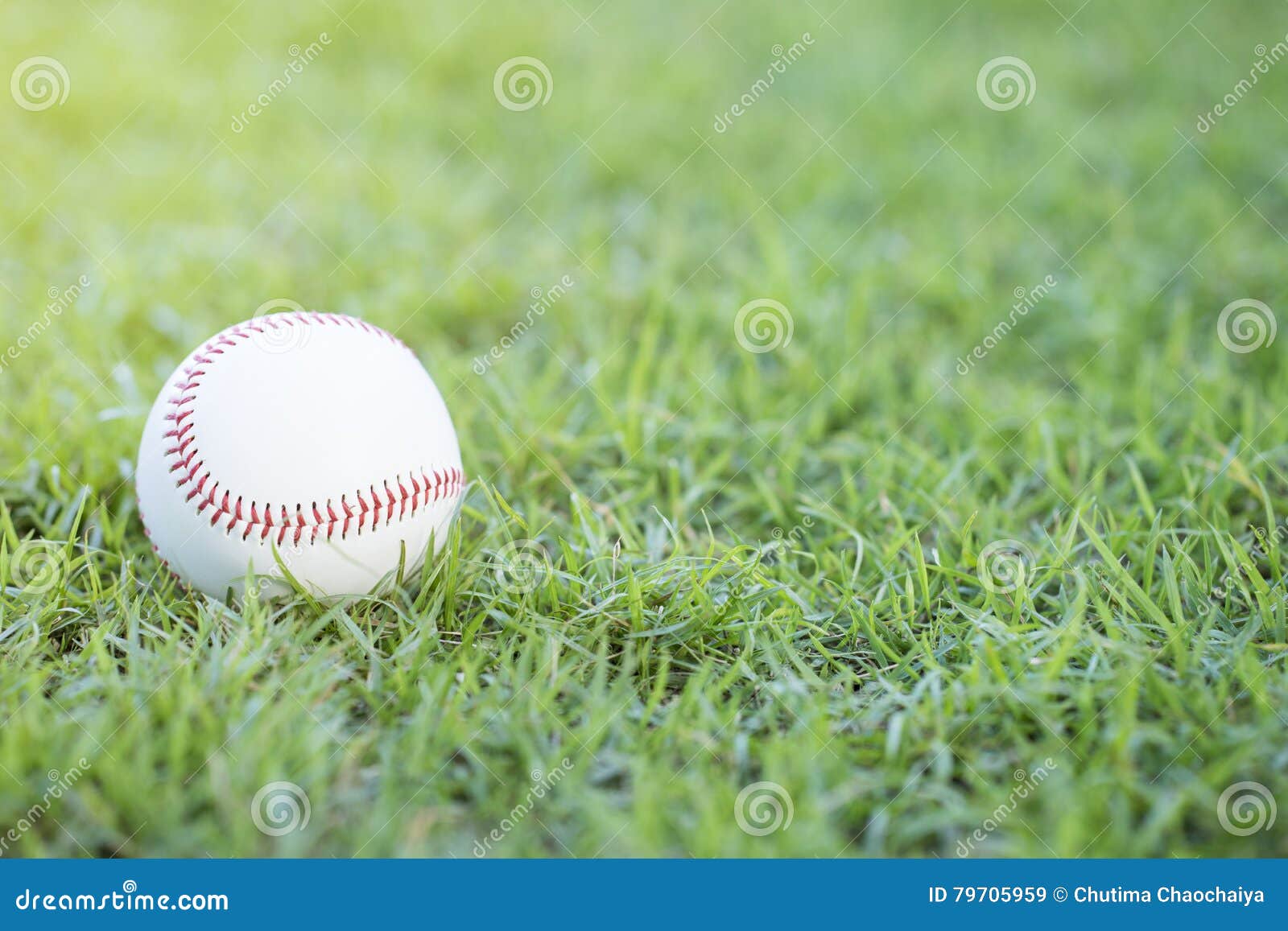 Baseball on the infield stock image. Image of youth, professional ...