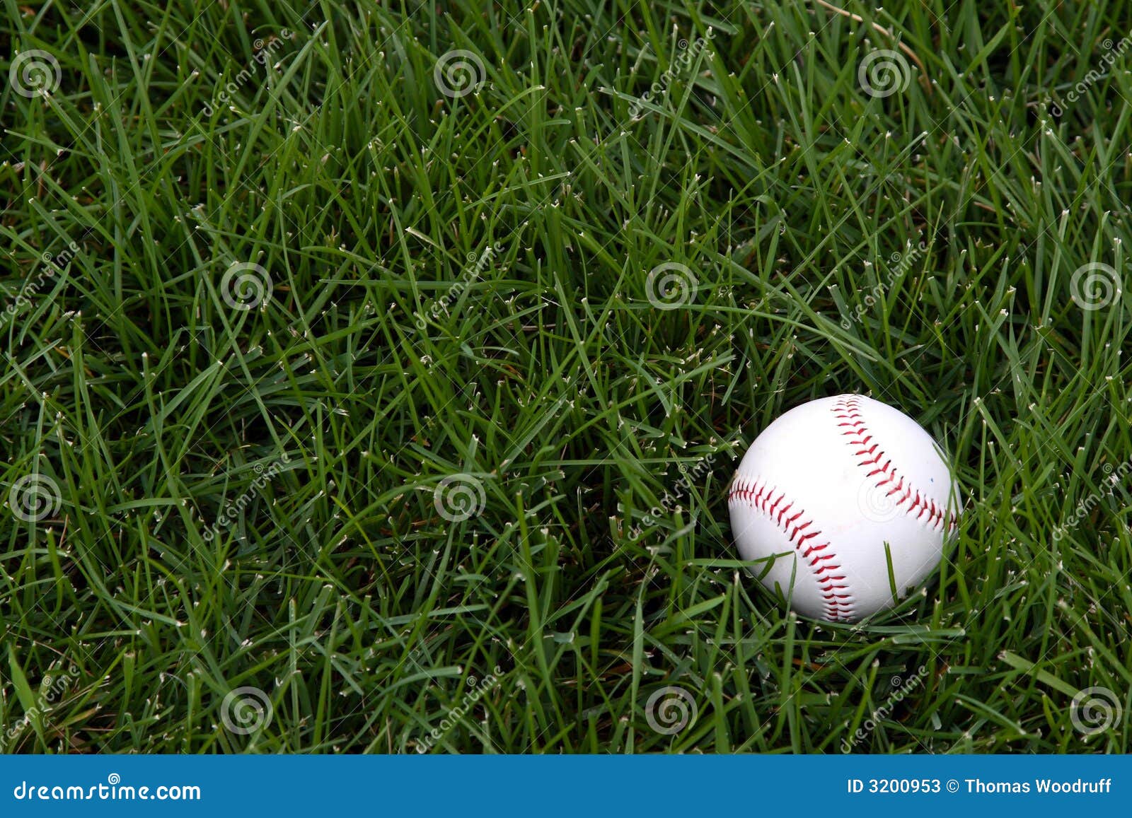 Baseball in the outfield stock image. Image of baseball - 3200953