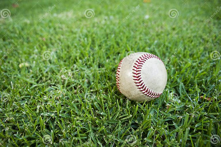 Baseball in Outfield Grass stock photo. Image of base - 20249810