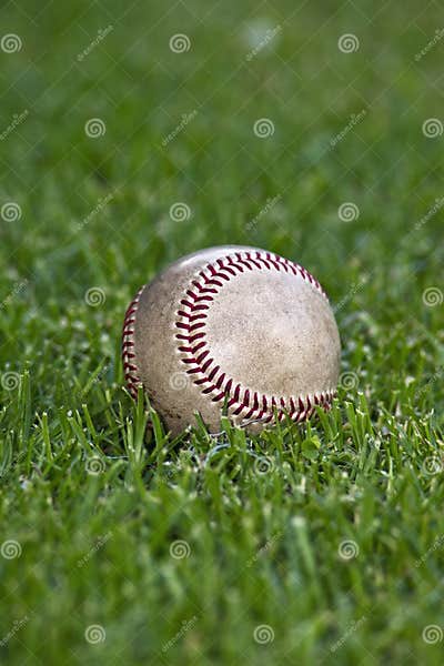 Baseball in Outfield Grass stock image. Image of closeup - 21442911