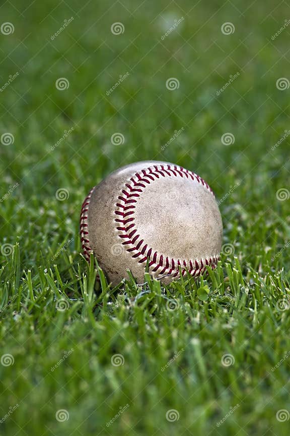 Baseball in Outfield Grass stock image. Image of closeup - 21442911